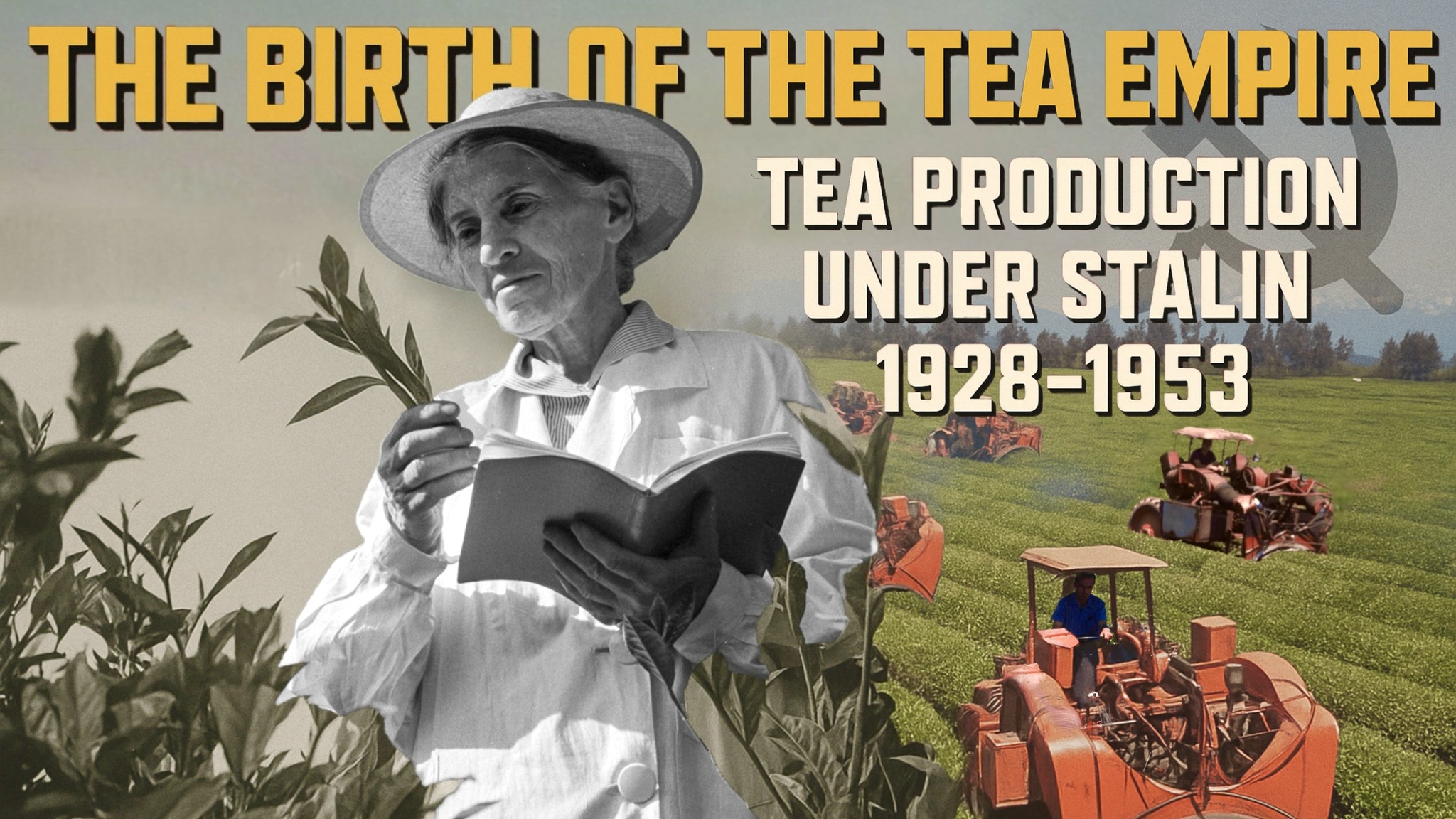 WiP: “The Birth of the Tea Empire: Tea Production under Stalin, 1928–1953” - CRRC